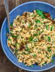 Toasted Orzo Pasta Recipe